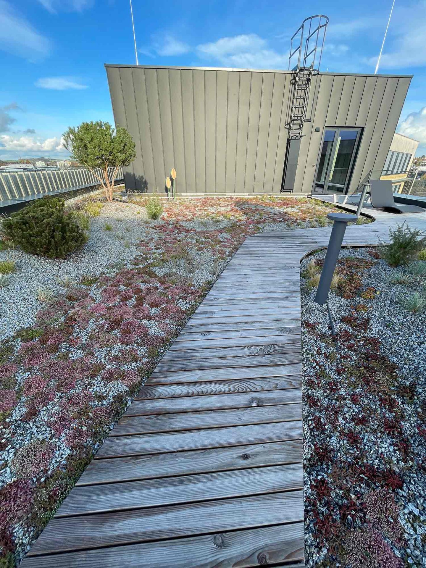 Feuchtemonitoring als Vorsorge für den Holzbau | SIHGA